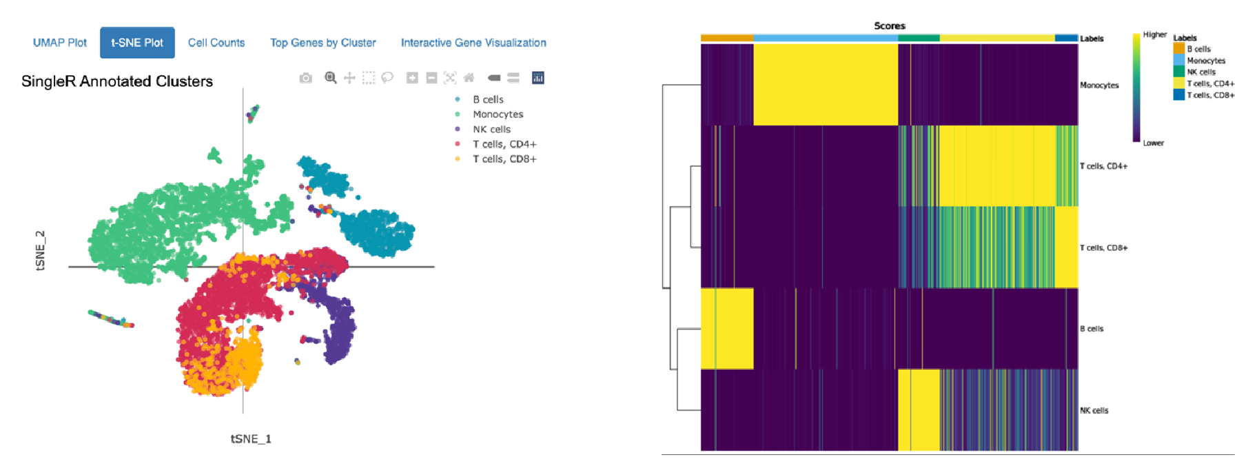 Use Case Cell Type Identification With G Nome®